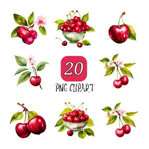 Cherry Watercolor Clip Art, Cherry Art, High Quality PNG, Watercolor ...