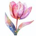 26 Birth Month Flower Tulip Clipart, Flowers Clipart, High Quality PNG ...