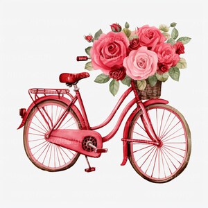 Watercolor Red Rose on a Pink Bike Clipart, High Quality PNG, Floral ...