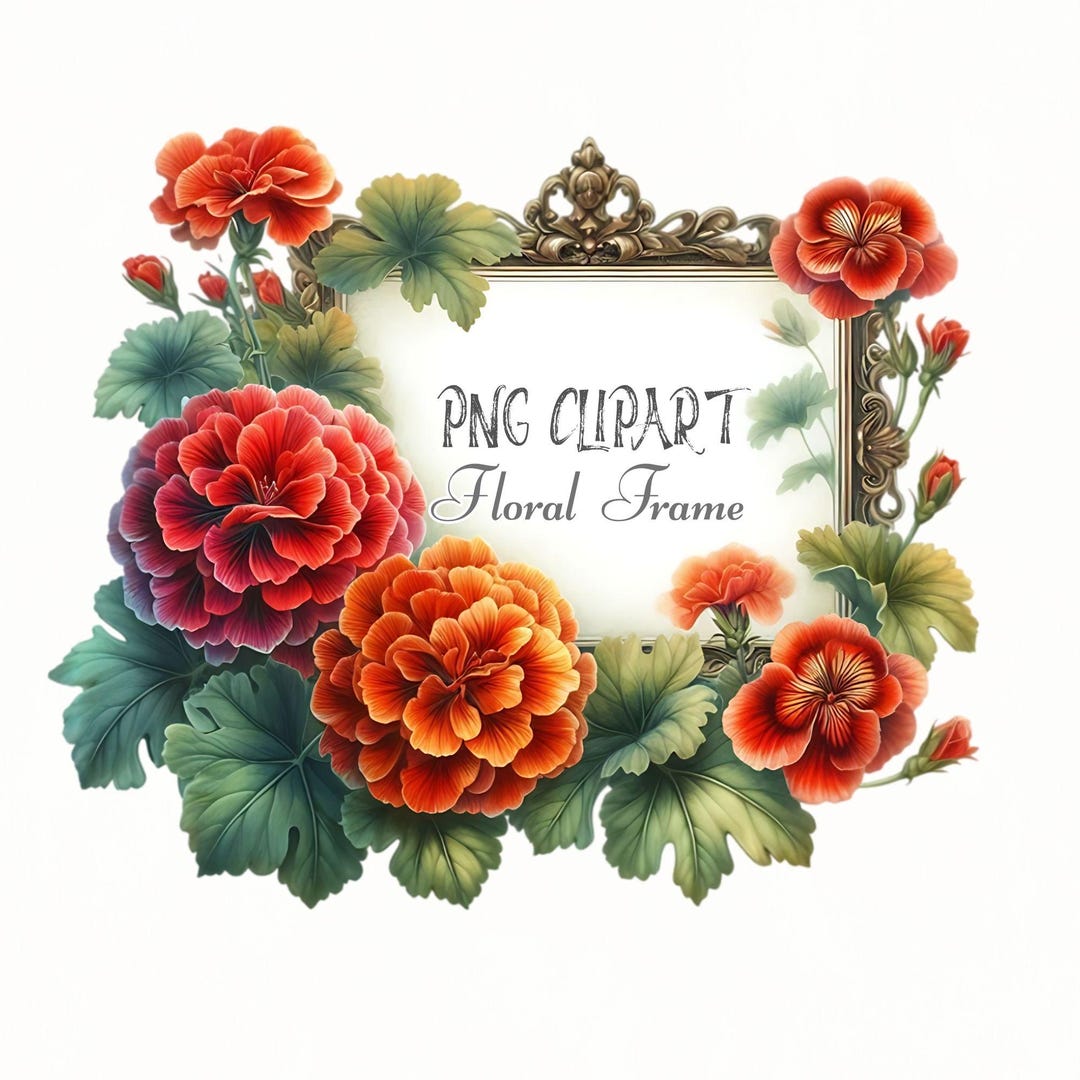 Vintage Geranium Frame Clipart, Watercolor Red Geranium Border, Classic ...