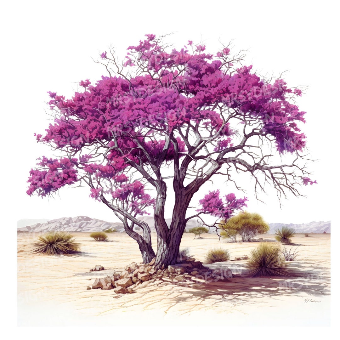 Desert Ironwood Tree Clipart, High Quality PNG, Pink and Purple Flowers ...