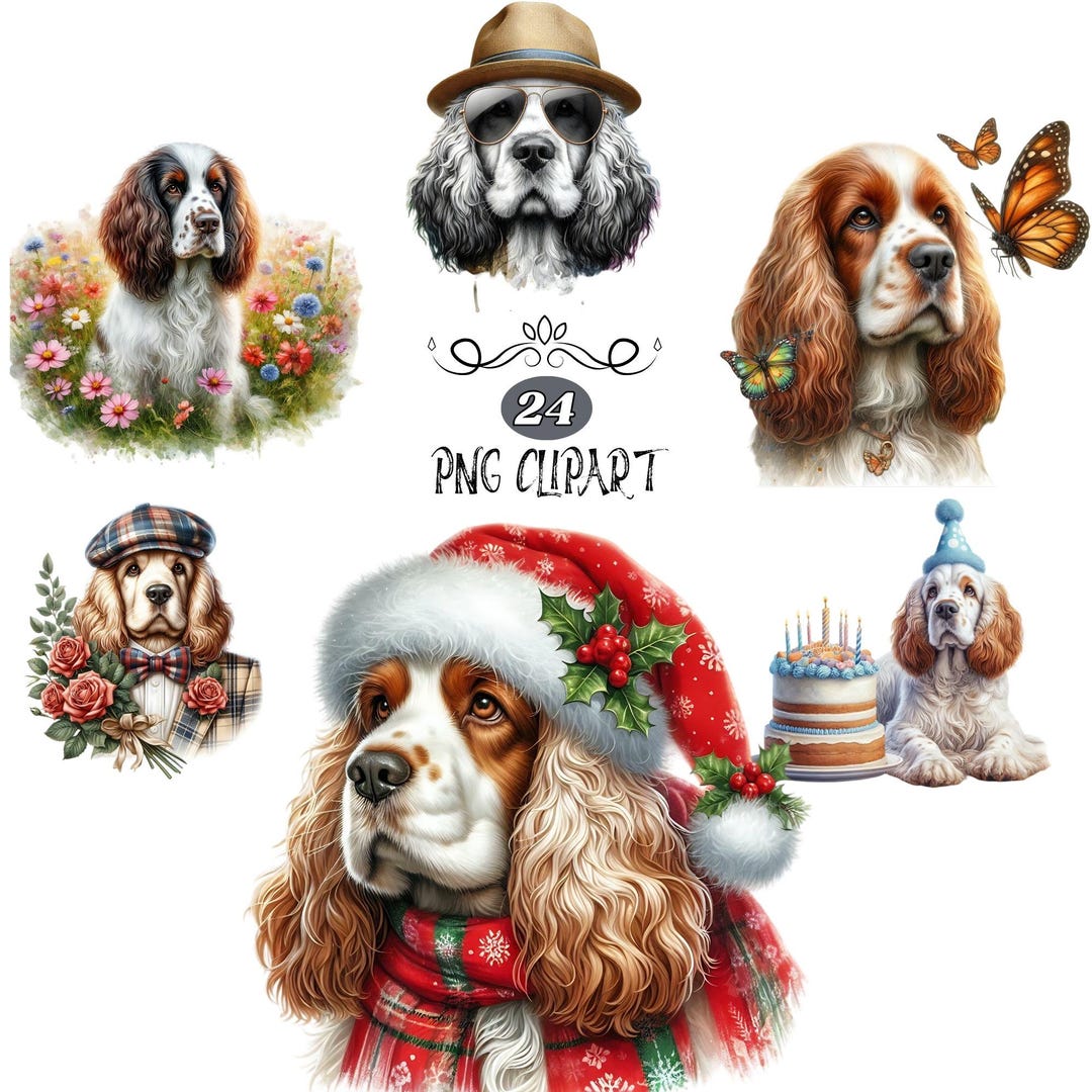 Clumber Spaniel Clipart, Watercolor Dog Clipart, Clumber Spaniel PNG ...