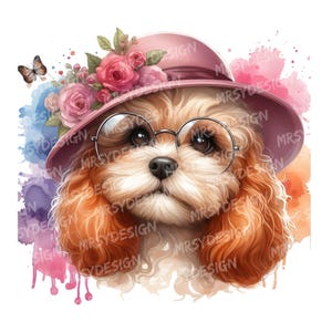 Cavapoo Clipart, Watercolor Dog Clipart, Bundle Set, Cavapoo PNG, Card ...