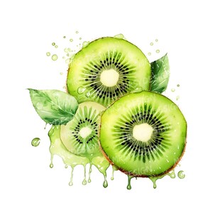 Kiwi Watercolor Clipart, Fruit Art, Watercolor Illustration, Tropical ...