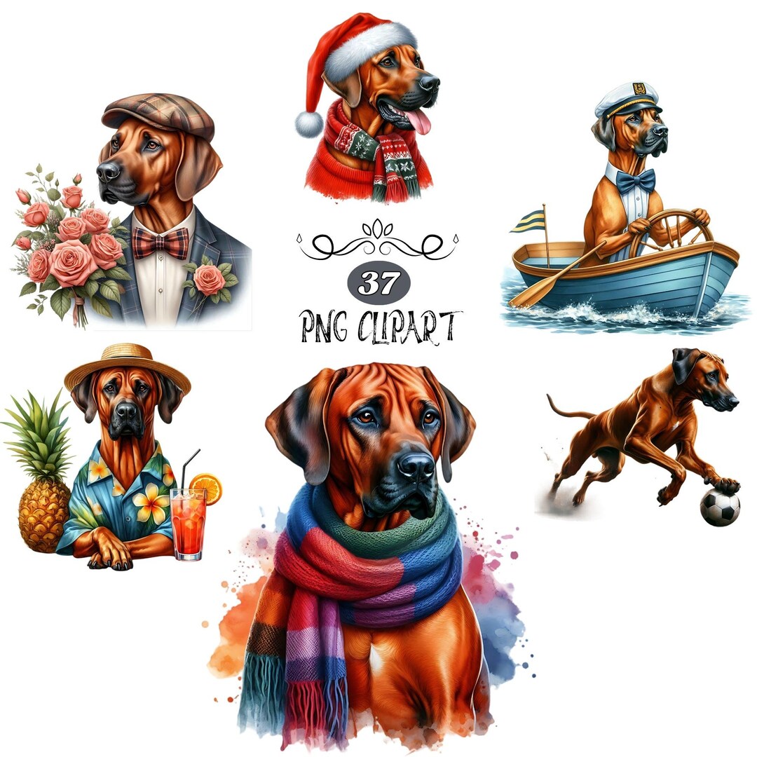 Rhodesian Ridgeback Clipart, Watercolor Dog Clipart, Rhodesian ...