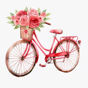 Watercolor Red Rose on a Pink Bike Clipart, High Quality PNG, Floral ...