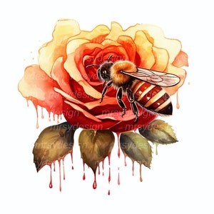 24 Bees in Flowers Clipart, High Quality PNG, Roses Bees Clipart ...