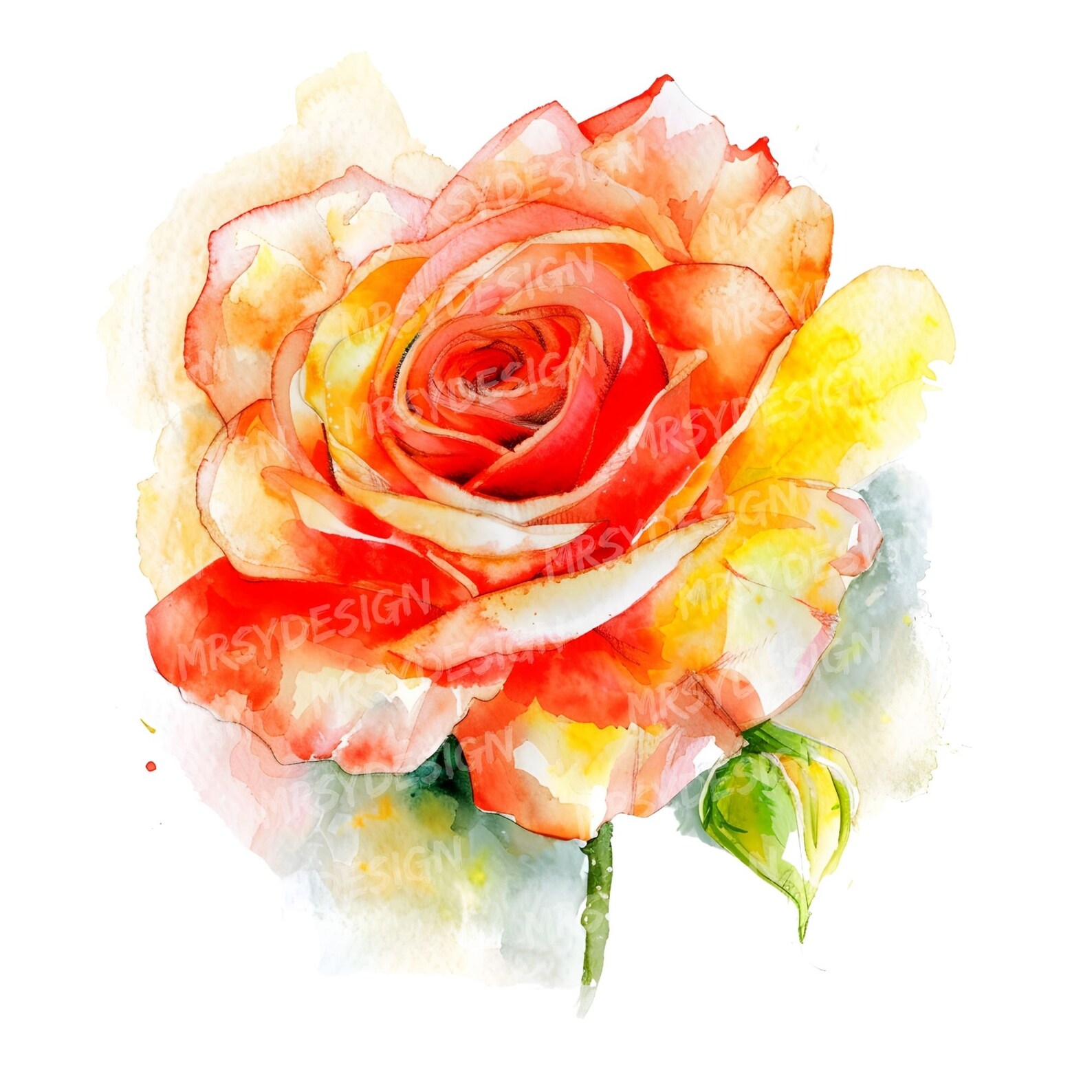 37 Rose Watercolor Clipart, Flowers Clipart, High Quality PNG, Bundle ...