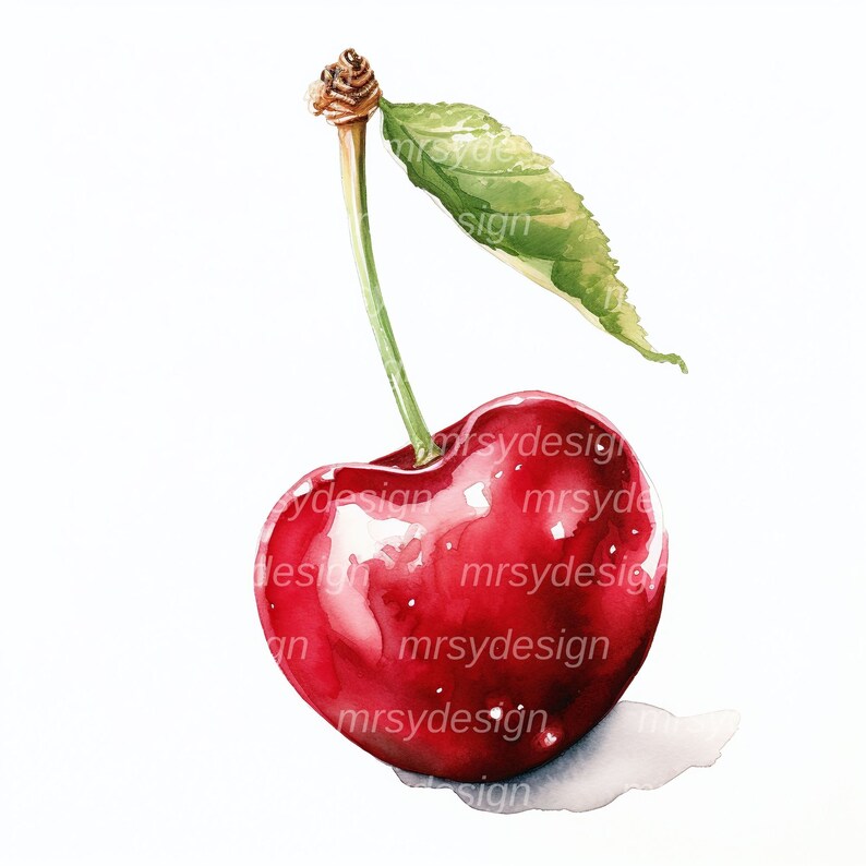 Cherry Watercolor Clip Art, Cherry Art, High Quality PNG, Watercolor ...