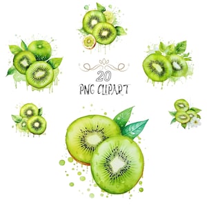 Kiwi Watercolor Clipart, Fruit Art, Watercolor Illustration, Tropical ...