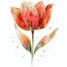 26 Birth Month Flower Tulip Clipart, Flowers Clipart, High Quality PNG ...