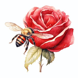 24 Bees in Flowers Clipart, High Quality PNG, Roses Bees Clipart ...