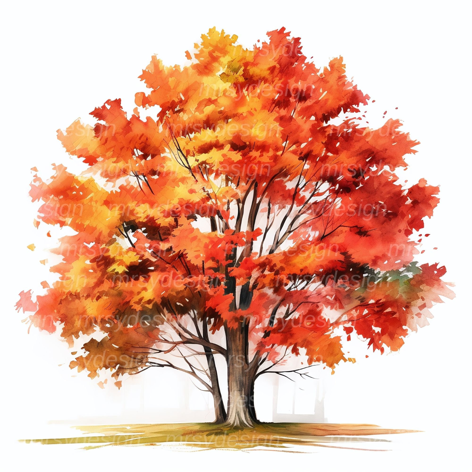 23 Maple Tree Clipart, Flowers Clipart, High Quality PNG, Watercolor ...