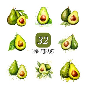 Avocado Watercolor Clipart, High Quality PNG, Fresh Fruit Illustration ...