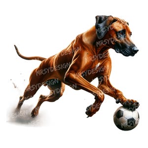 Rhodesian Ridgeback Clipart, Watercolor Dog Clipart, Rhodesian ...