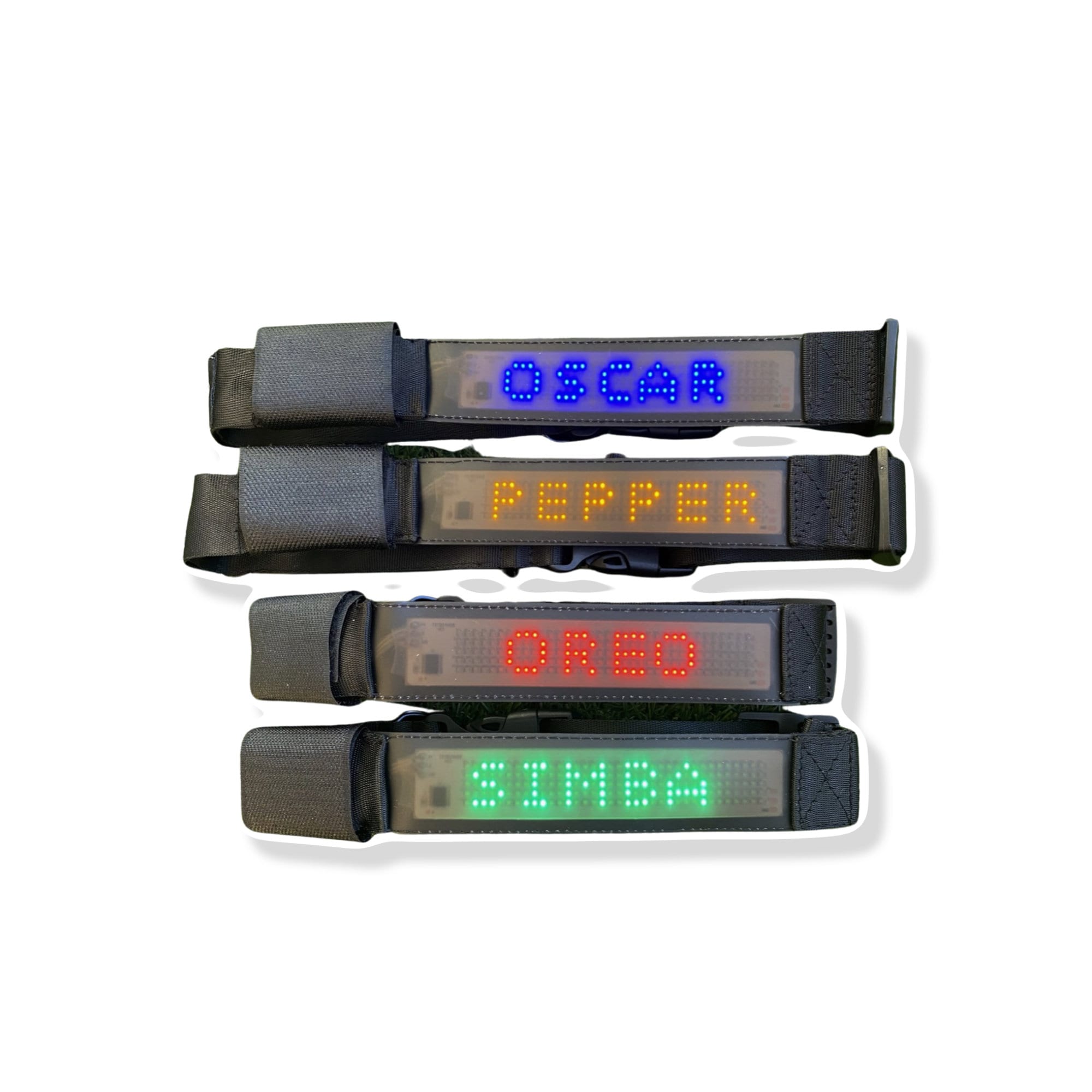 LED Dog Collar Customisable Glow in the Dark Display Light up Collar ...