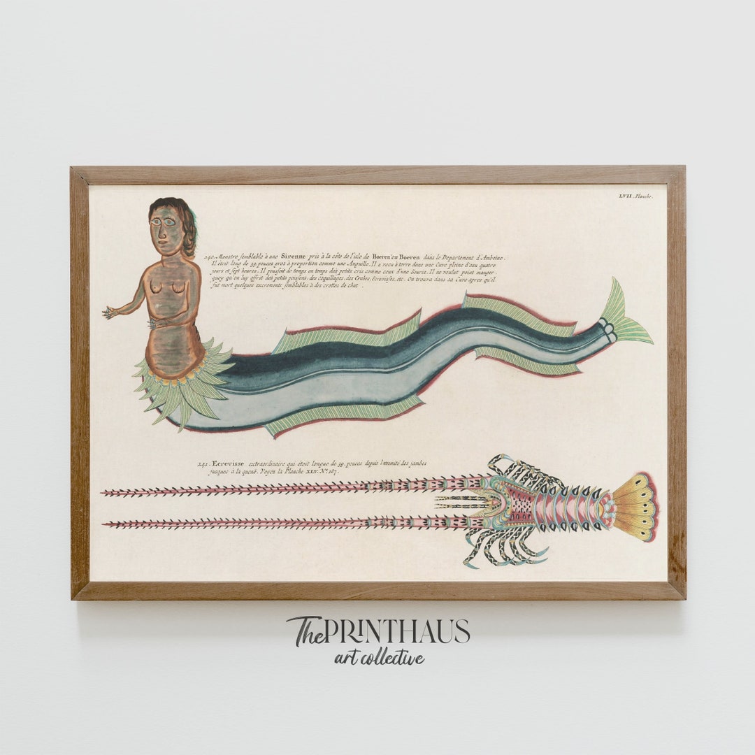 Printable Vintage Siren and Lobster Illustration Tropical Seascape Wall ...