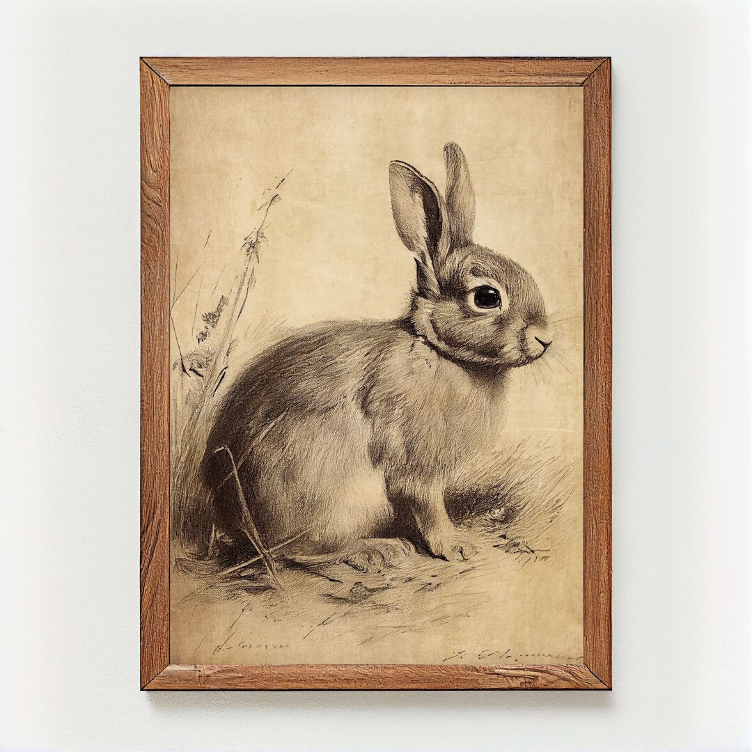 Rabbit Drawing, Printable Bunny Drawing, Rabbit Wall Art, Rabbit Print ...