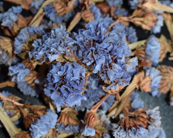 500 Light Blue Dried Limonium Flower Heads: Wedding Decor - Etsy