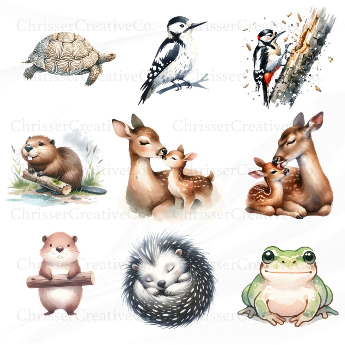 Forest Animals Clip Art, Watercolor Clipart, Safari Animals, Cute ...