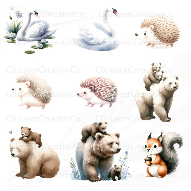 Forest Animals Clip Art, Watercolor Clipart, Safari Animals, Cute ...