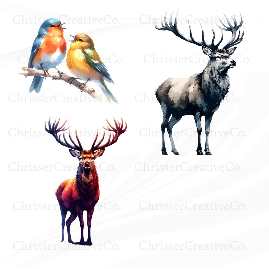 Forest Animals Clip Art, Watercolor Clipart, Safari Animals, Cute ...