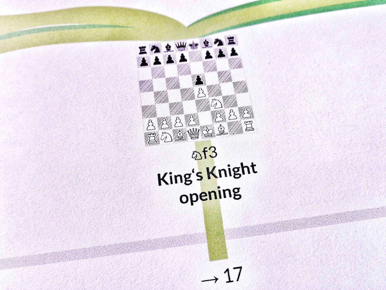 Chess Opening Tree Poster: Philidor and Petrov‘s Defense, Latvian ...