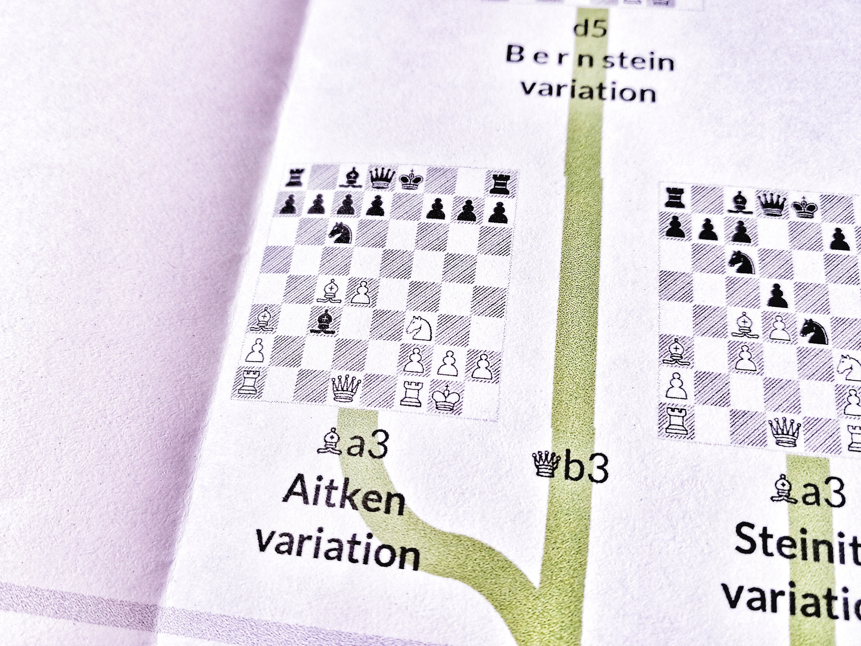 Italian Game Chess Theory Strategic Thinking Chess Cards Chess ...