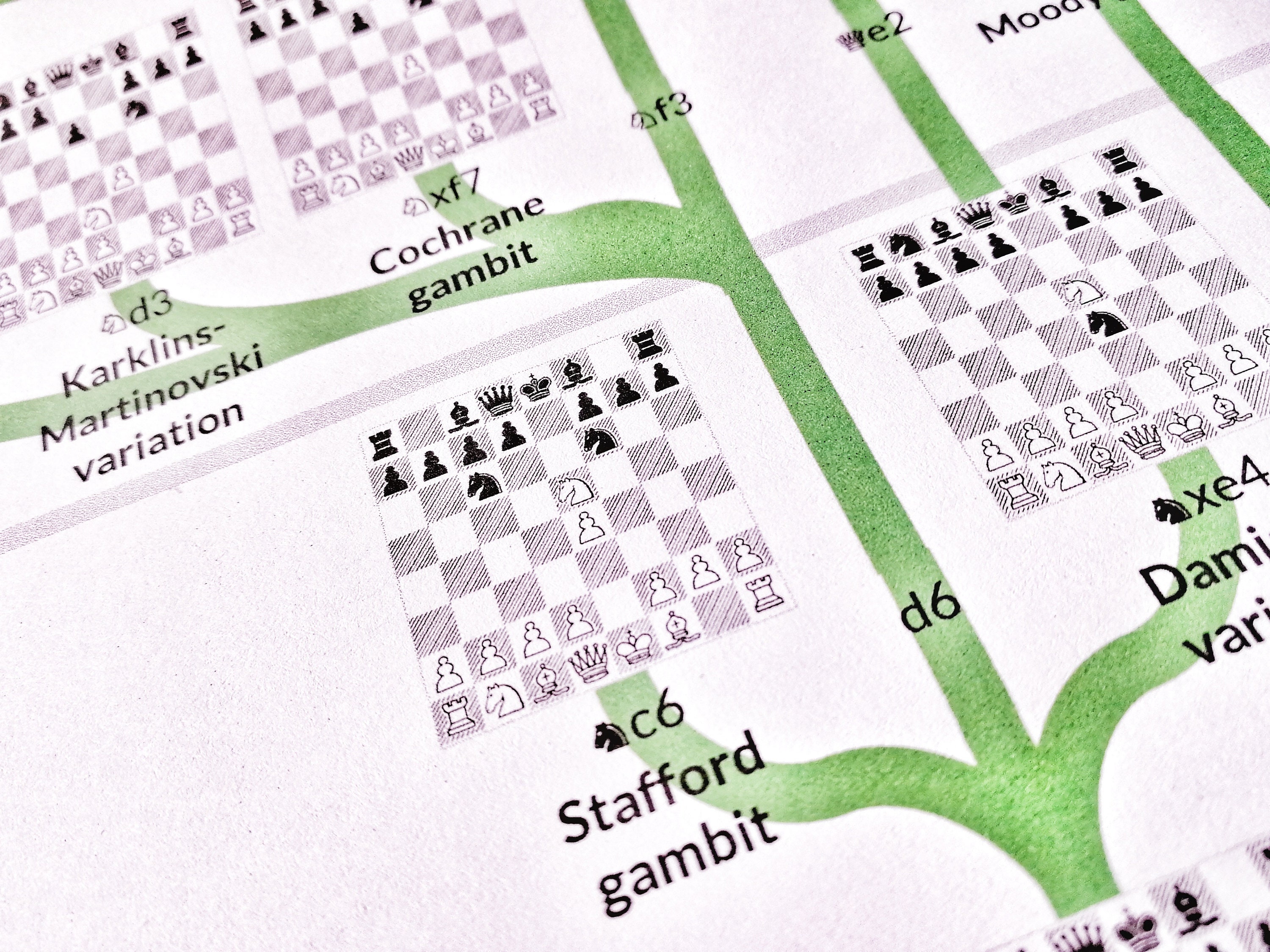 Chess Opening Tree Poster: Philidor and Petrov‘s Defense, Latvian ...