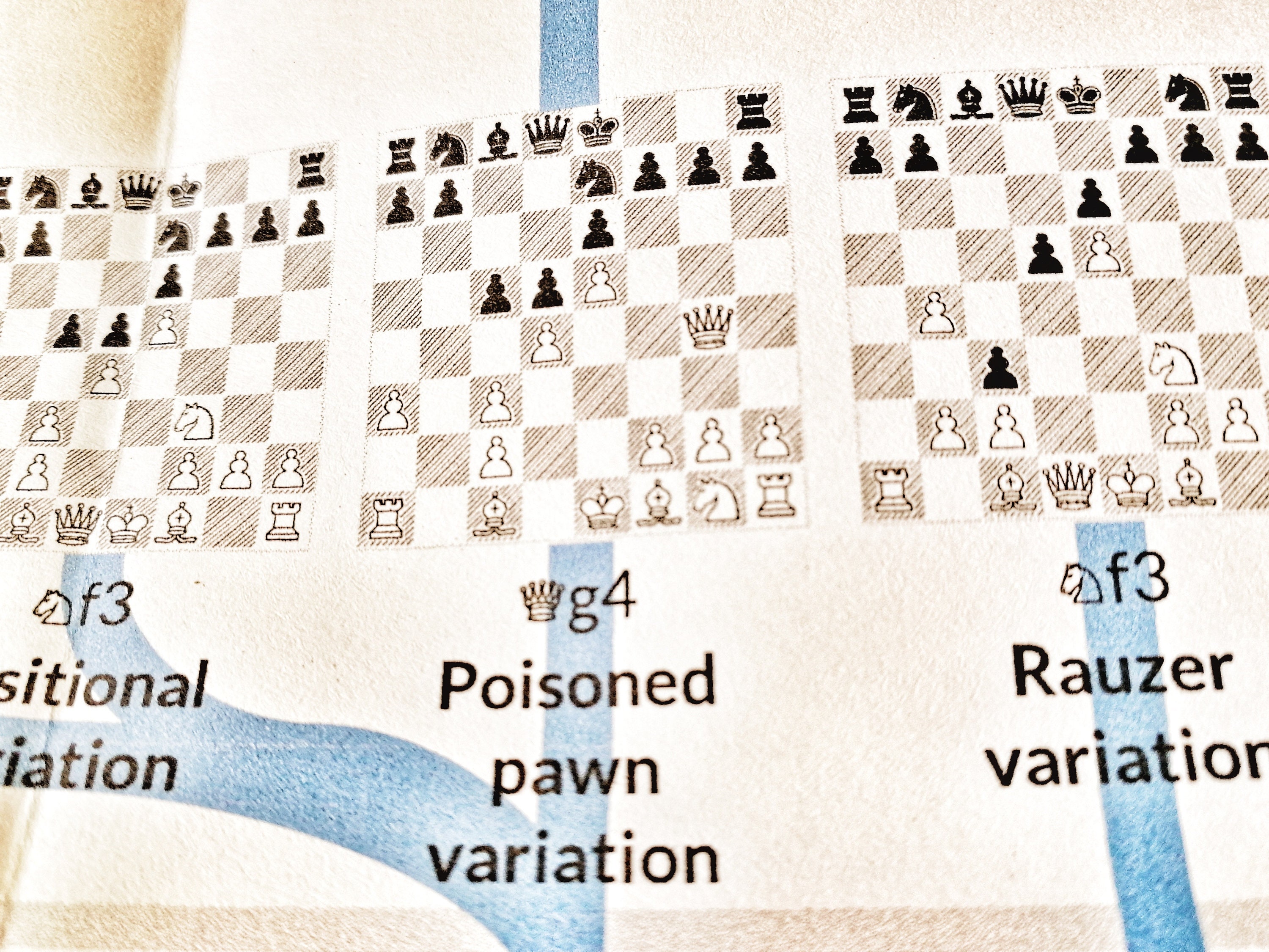 Chess Opening Tree Poster, Chess Maps: French Defense - Etsy