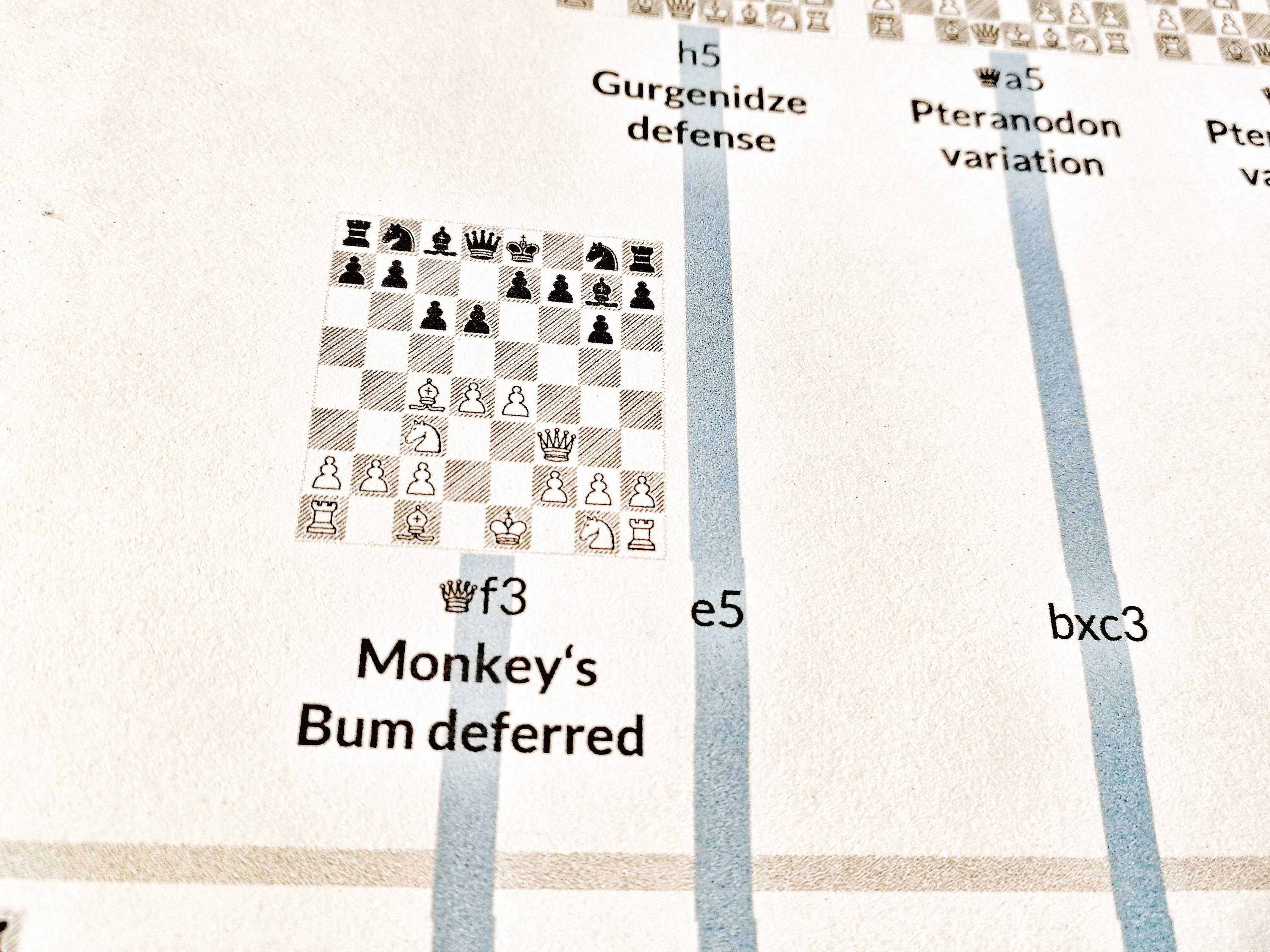 Pirc and Modern Defense Chess Poster for Beginnerschess Moves - Etsy