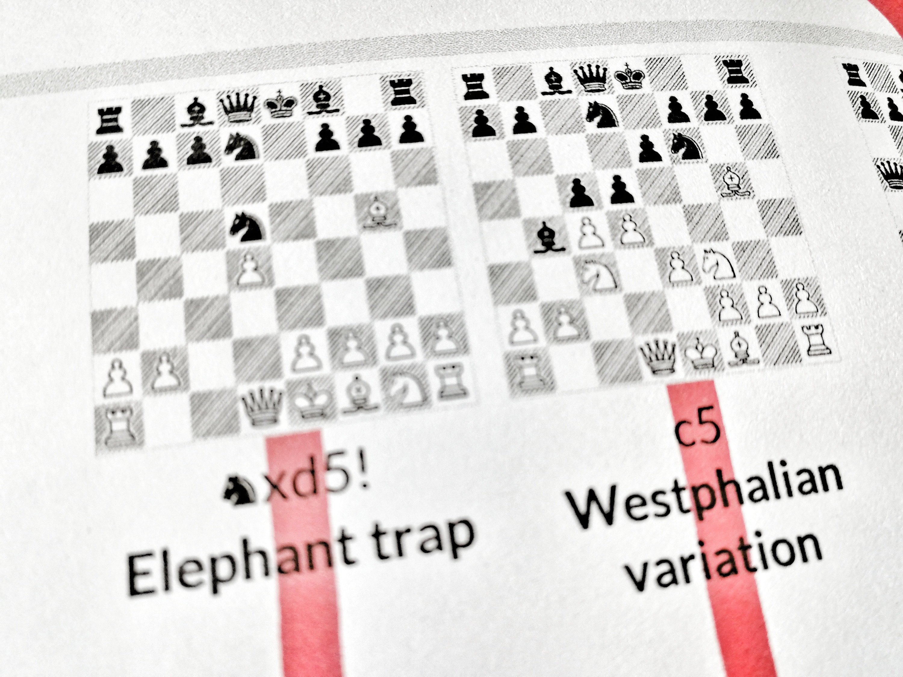 Queen's Gambit Declined, Chess Opening Tree Poster, Opening Variations ...