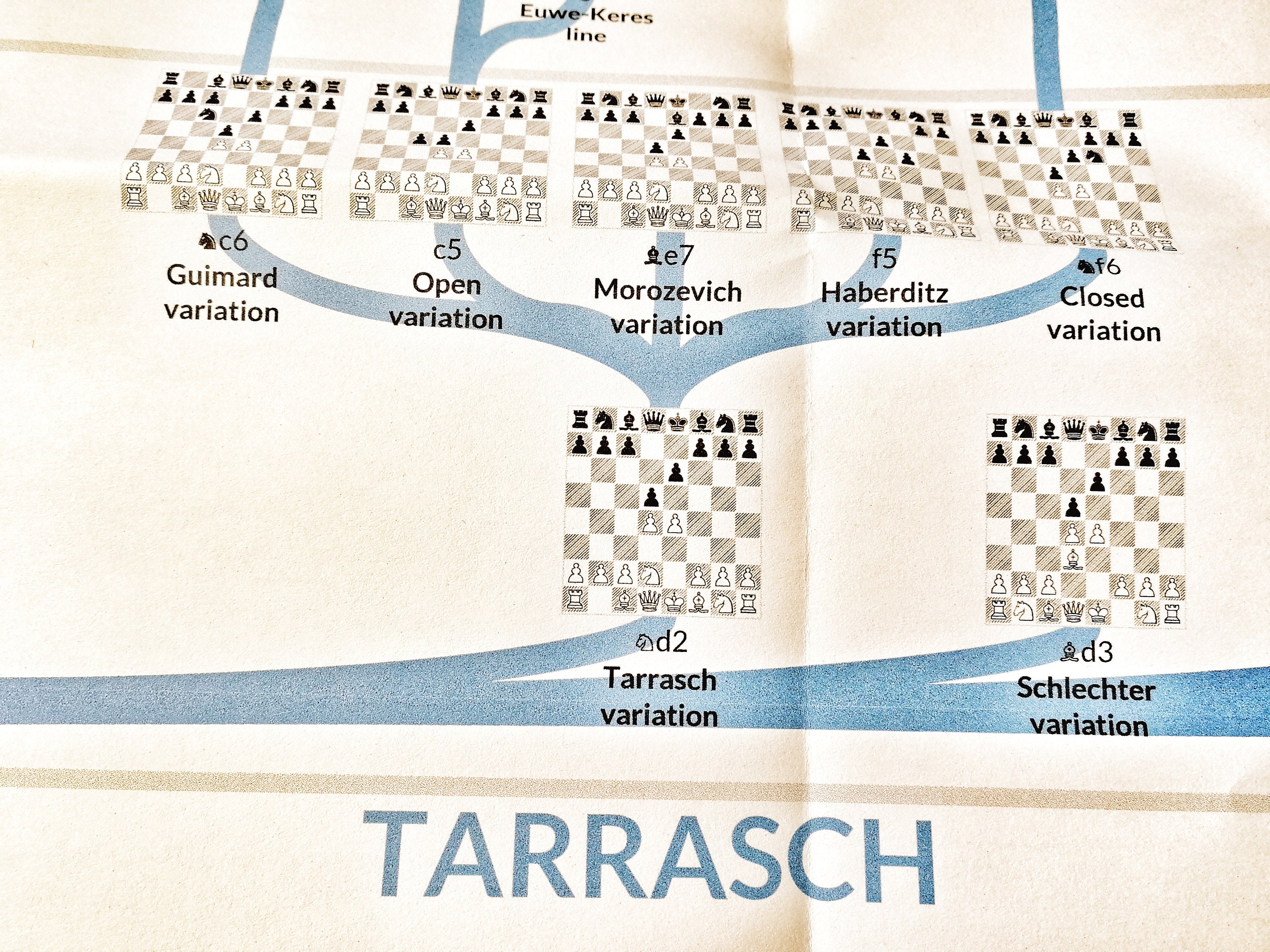 Chess Opening Tree Poster, Chess Maps: French Defense - Etsy