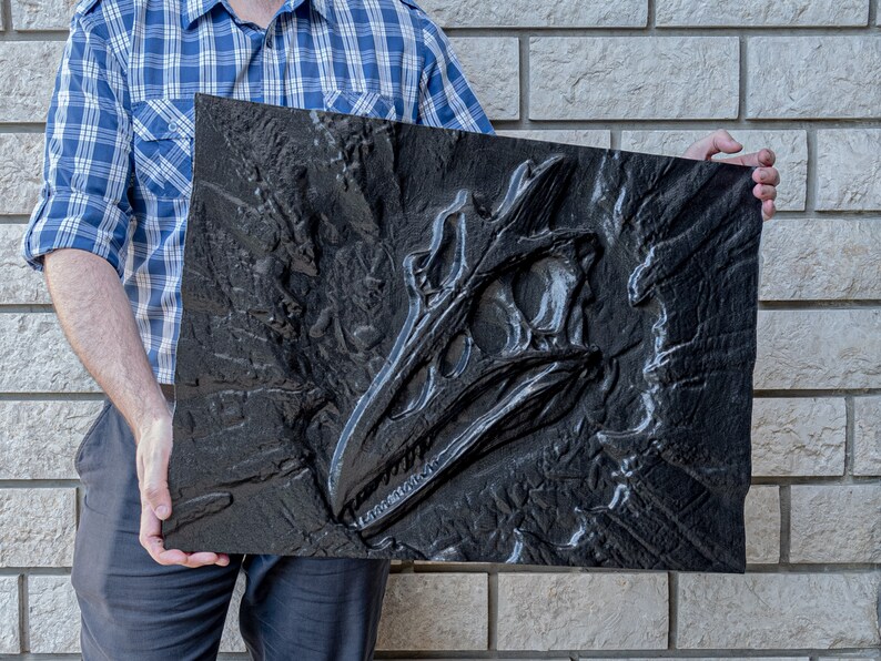 Dinosaur Skull Fossil Carving. 3D Relief. Prehistoric Set of 3 Wall Art ...