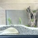 Nature-inspired Mumba Cave: Corner Hide for Terrarium & Aquarium Pets ...