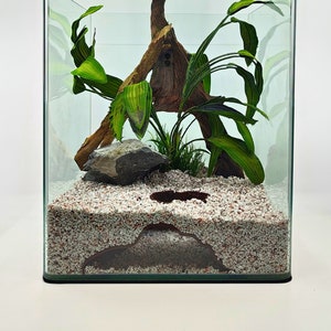 Inspired by Nature Aquarium/terrarium Hiding Cave Amboni Versatile and ...