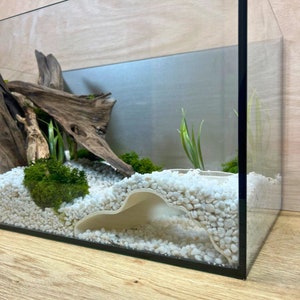 Inspired by Nature Aquarium/terrarium Hiding Cave Amboni | Versatile ...
