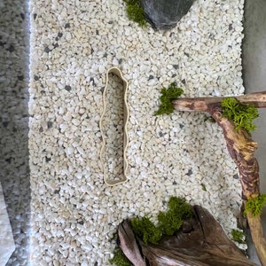 Subterranean Splendor: Wide Entry Aquarium Wave Cave - Perfect for Fish ...