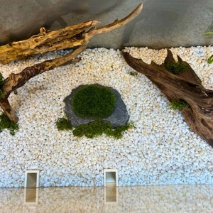 Mystic Maze Aquarium Hideout: Interactive Fish Cave - Etsy
