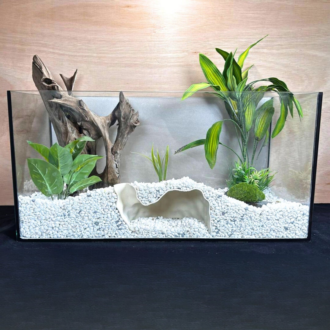 Tidal Cave Nature Inspired Terrarium Aquarium for Shrimps, Fish, and ...