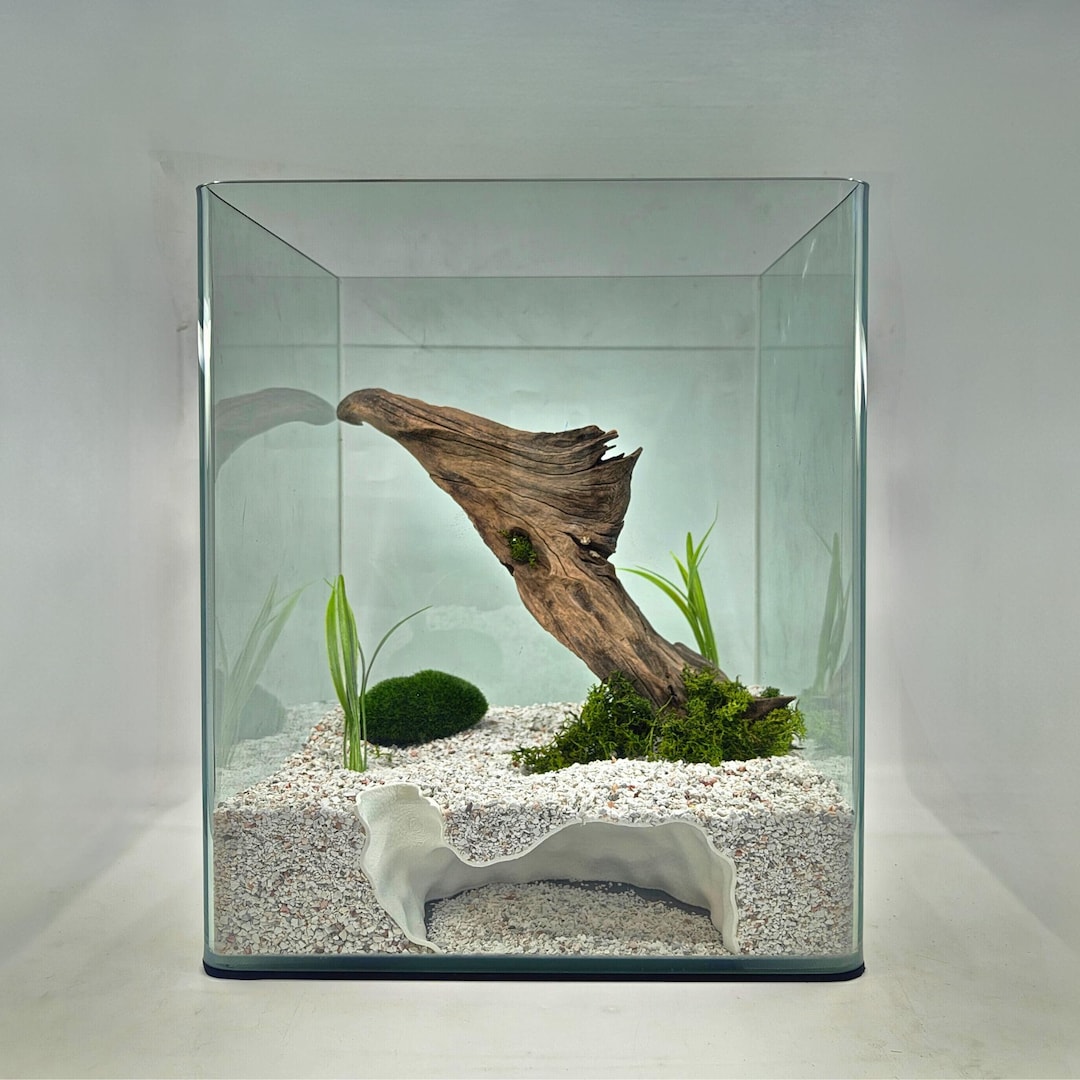 Tidal Cave Nature Inspired Terrarium Aquarium for Shrimps, Fish, and ...