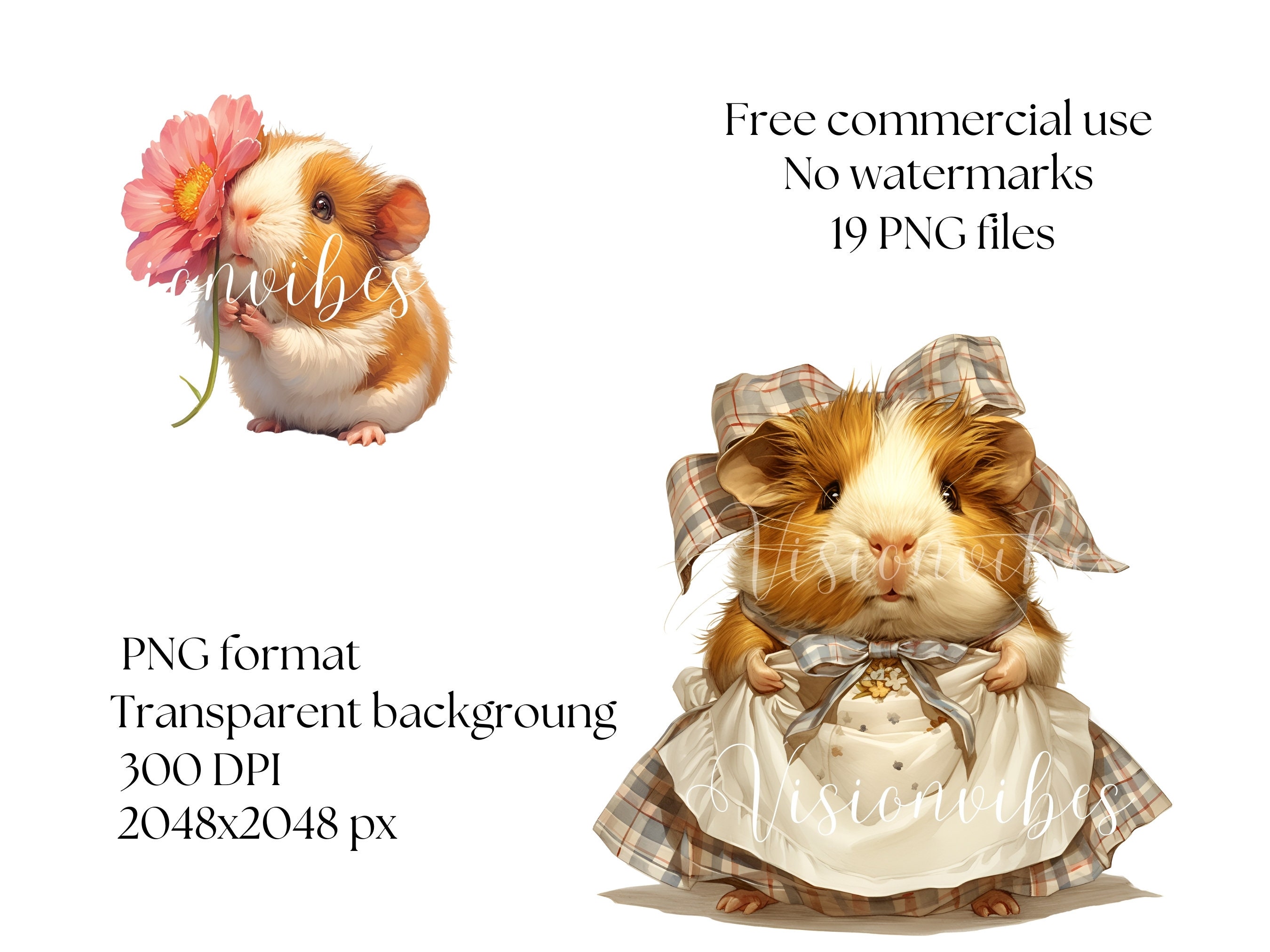 Guinea Pig Illustration of Cute Guinea Pig Clipart Bundle of High ...
