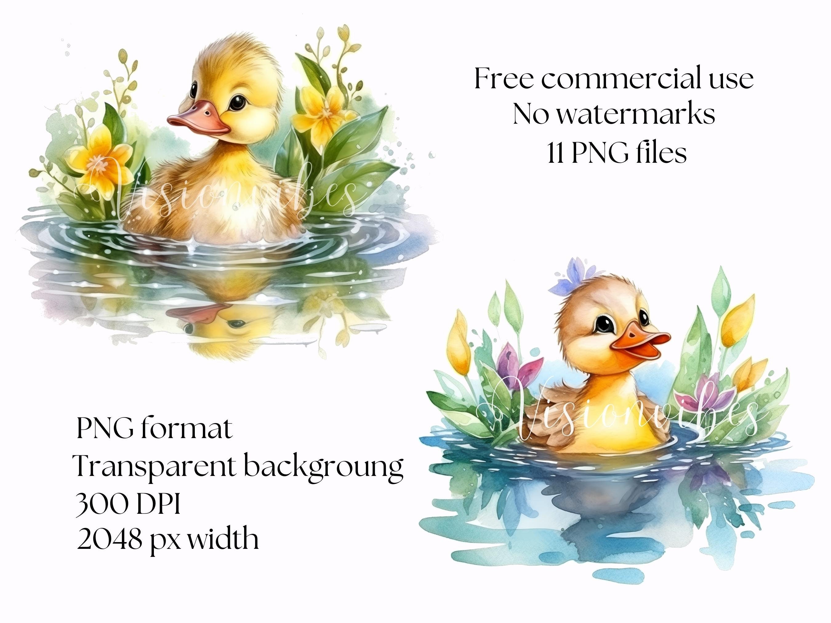 Watercolor Baby Duck in a Pond Clipart Cute Baby Duck Png Watercolor ...