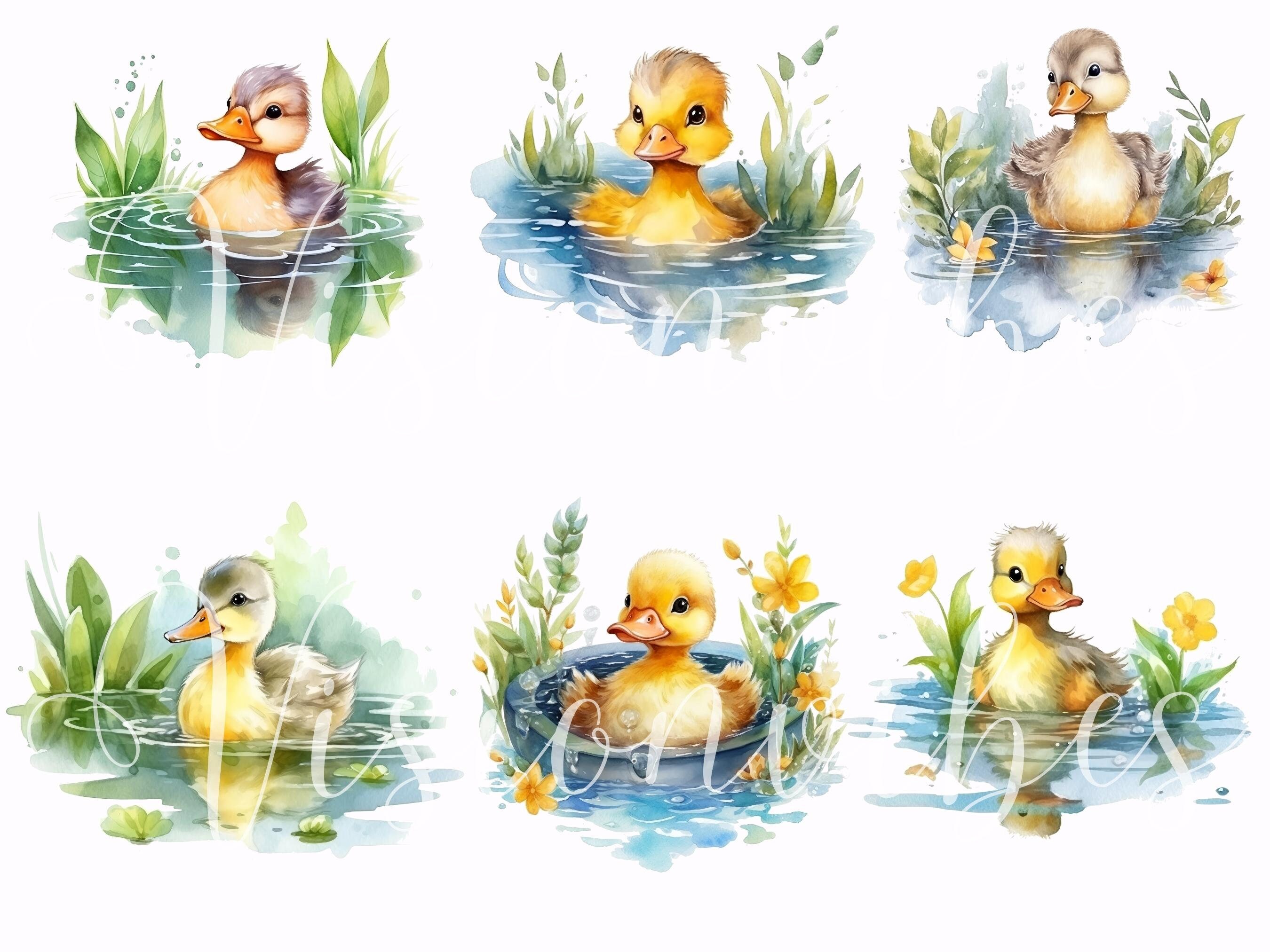 Watercolor Baby Duck in a Pond Clipart Cute Baby Duck Png Watercolor ...