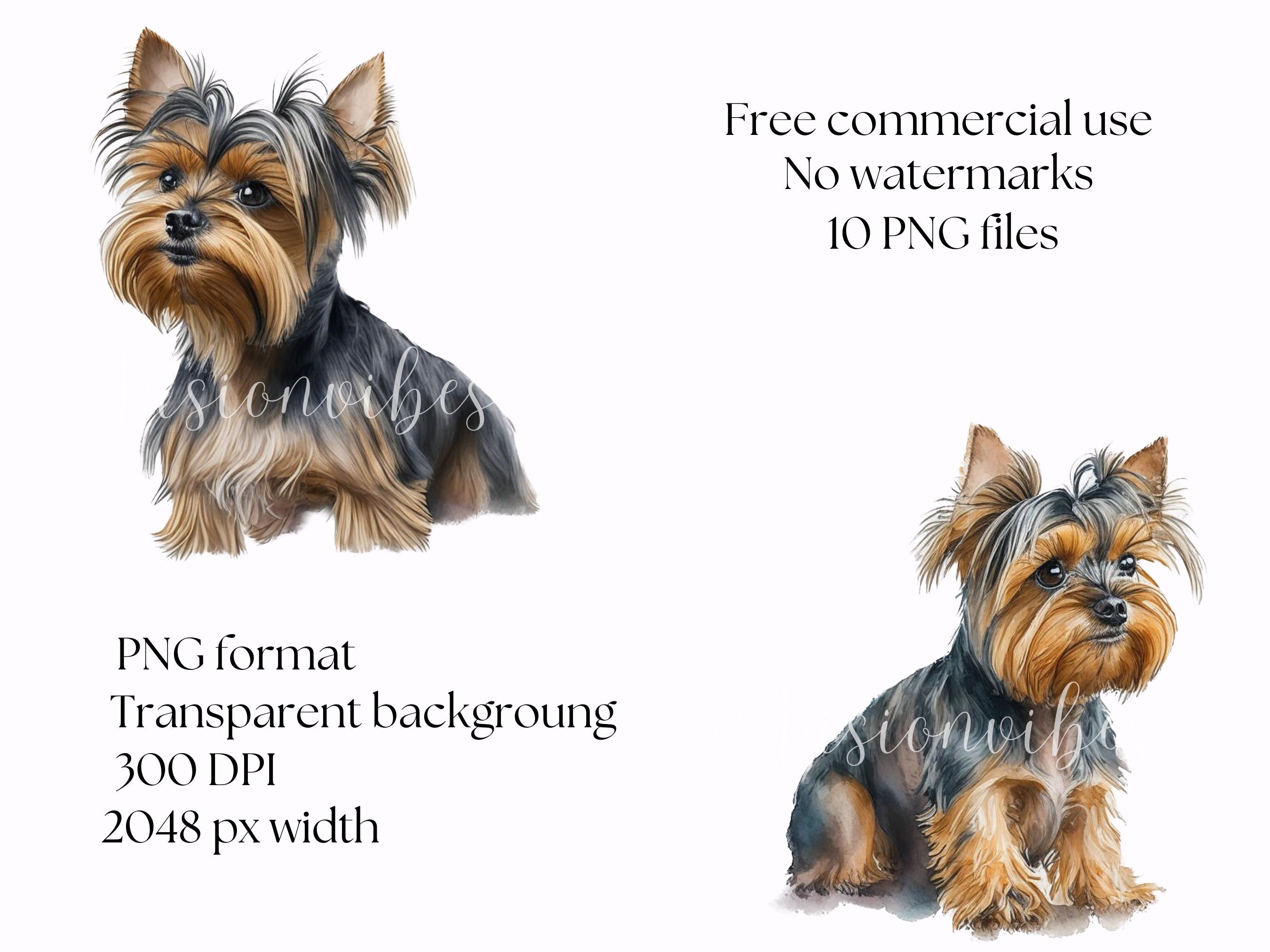 Yorkshire Terrier Clipart Bundle Watercolor Yorkshire Terrier Digital ...