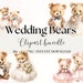 Wedding Clipart Teddy Bear Bundle Watercolor Wedding Clipart Teddy Bear ...