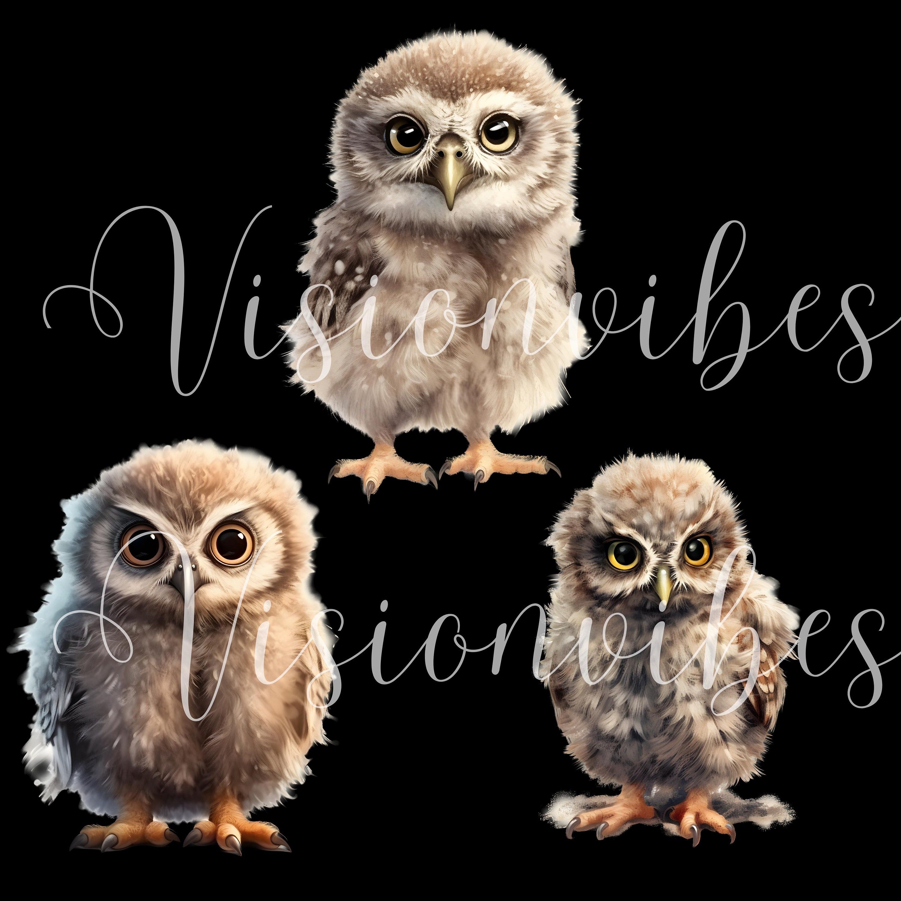 Baby Owl Clipart, Natural Color Owl Png, Cute Little Baby Birds Clipart ...