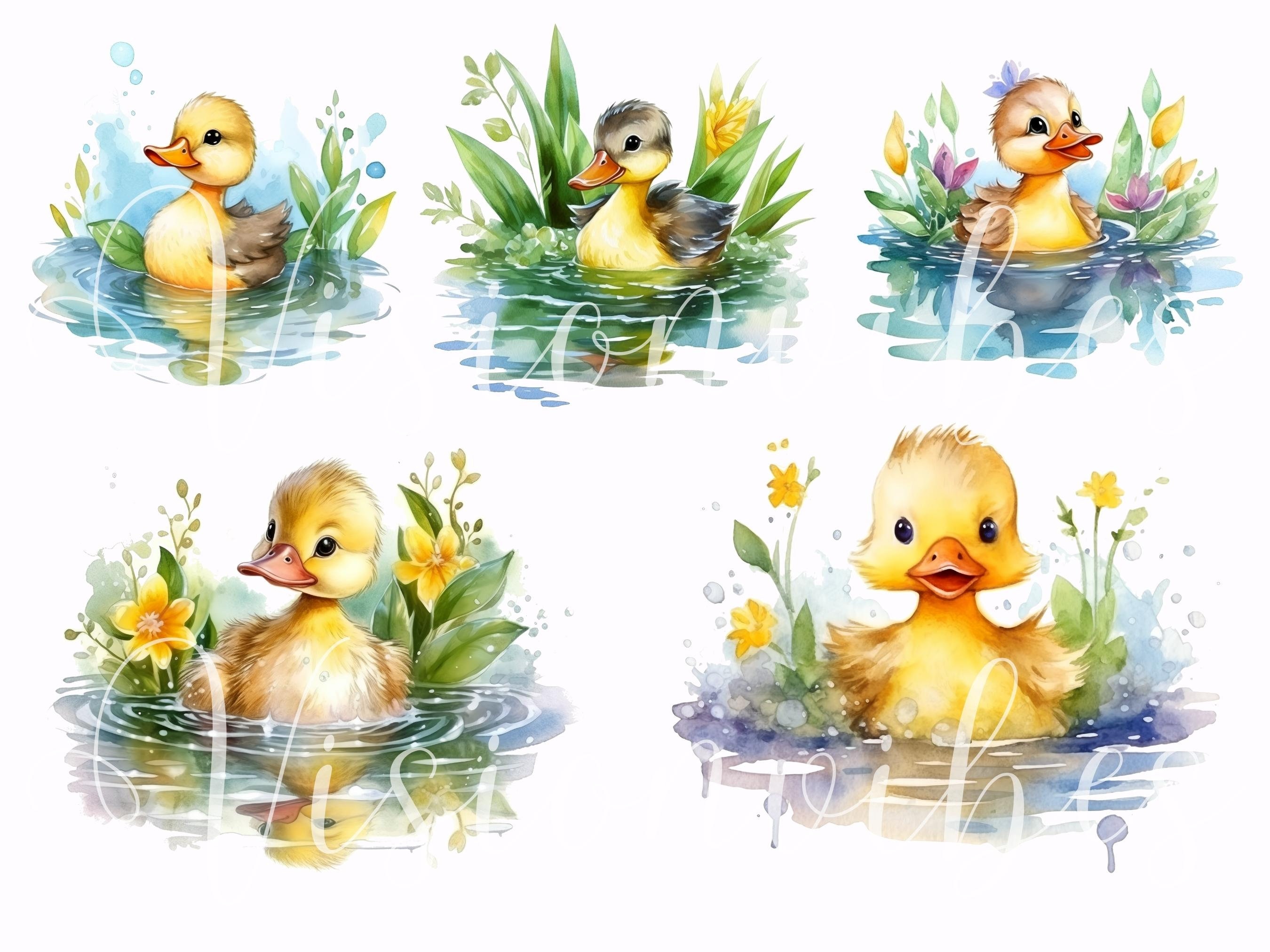 Watercolor Baby Duck in a Pond Clipart Cute Baby Duck Png Watercolor ...