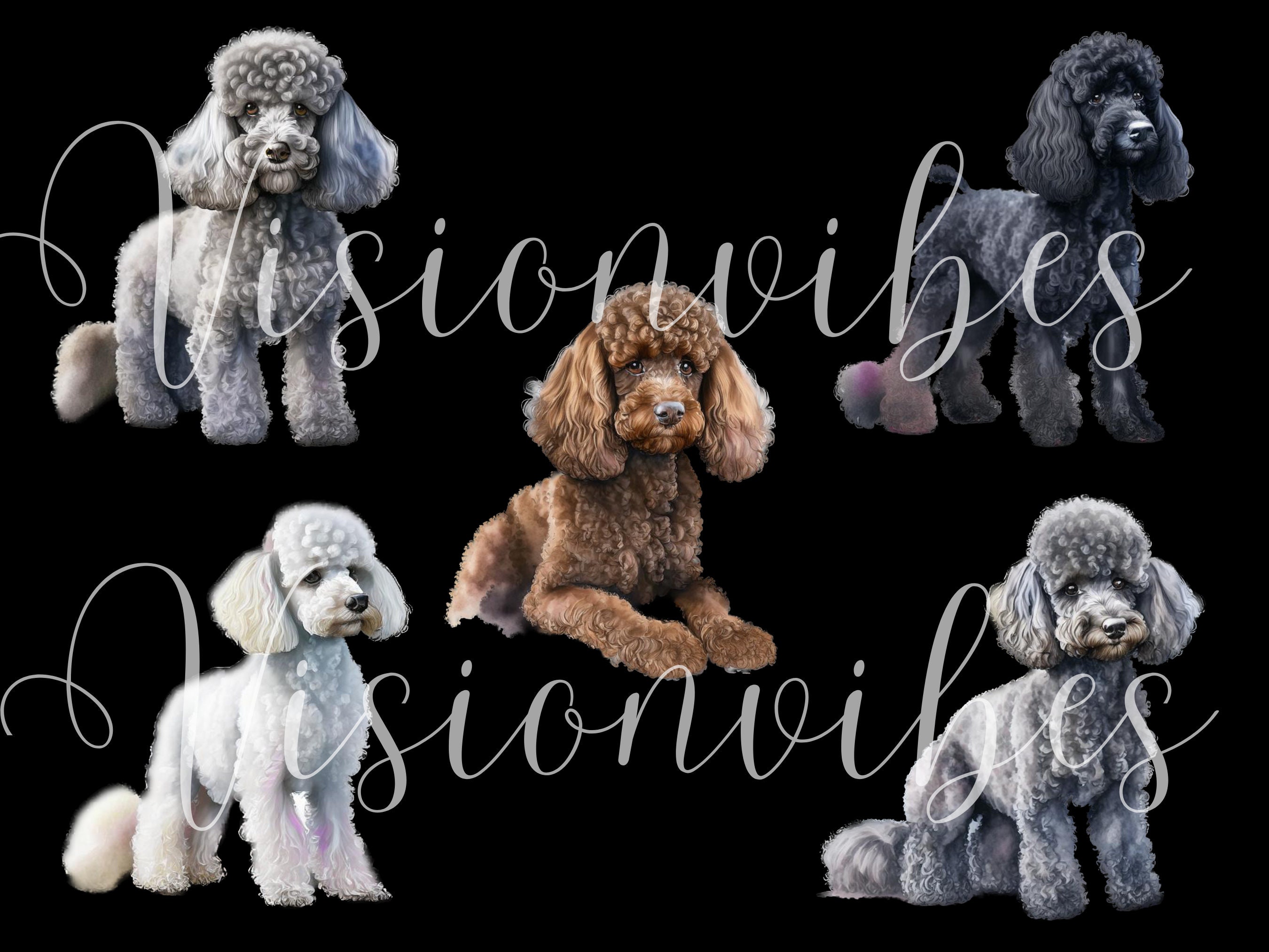 Poodle Clipart Bundle Watercolor Poodle Clipart Dog Lover Png Doglover ...