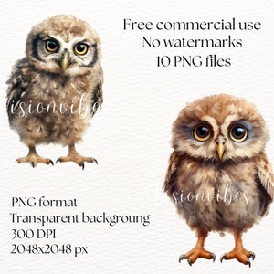 Baby Owl Clipart, Natural Color Owl Png, Cute Little Baby Birds Clipart ...